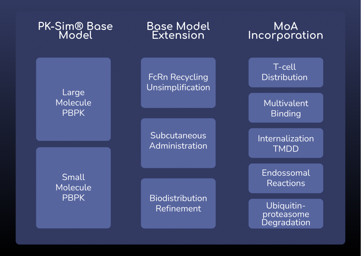 Large Molecules, Biologics and Novel Modalities – esqlabs